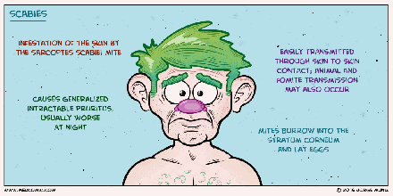 #25 – Scabies | PAINE Podcast and Medical Blog