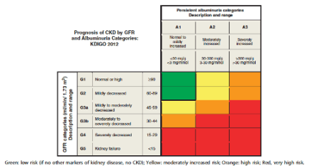 #64 – KDIGO Guidelines | PAINE Podcast and Medical Blog